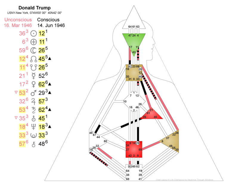 The Donald - Evolutionary Human Design